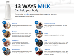 School Milk | New England Dairy