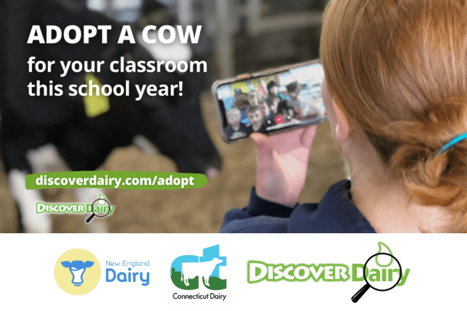 Lessons & Activities - New England Dairy