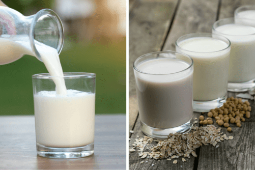 Plant-Based Milk vs. Cow Milk: Nutritional Comparison | New England Dairy