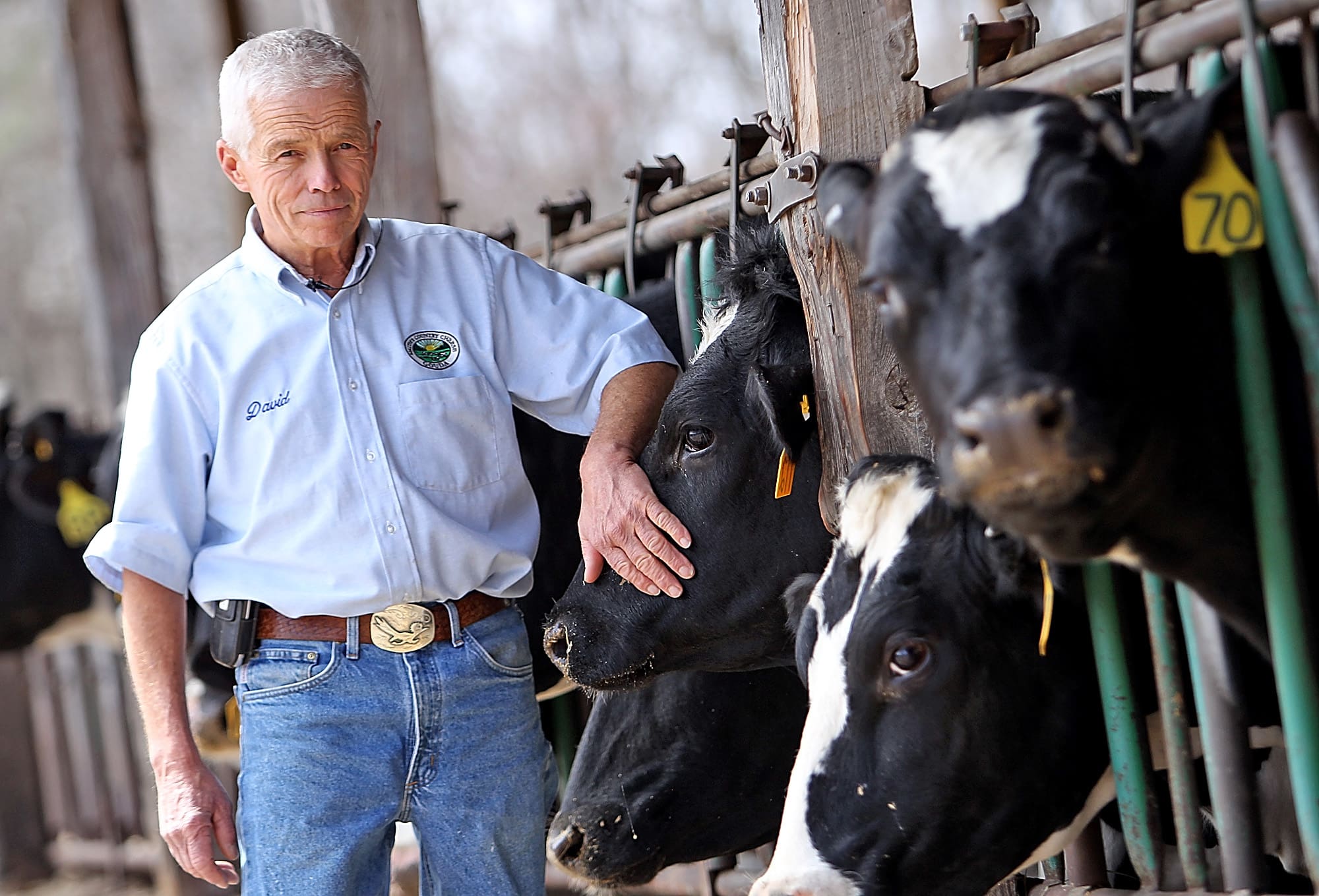 Smith's Country Cheese in Winchendon, MA | New England Dairy
