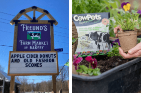 The Freund Family - New England Dairy