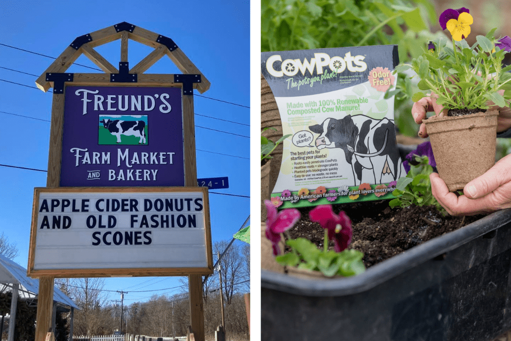 The Freund Family - New England Dairy