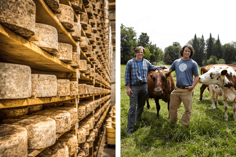 Cheese Nutrition, Common Questions & More | New England Dairy