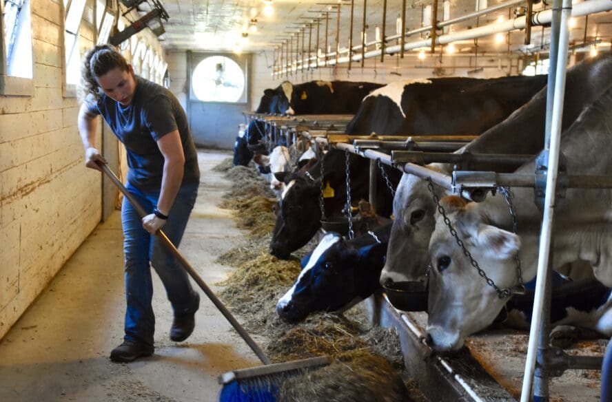 National Dairy Month Toolkit & Resources - New England Dairy