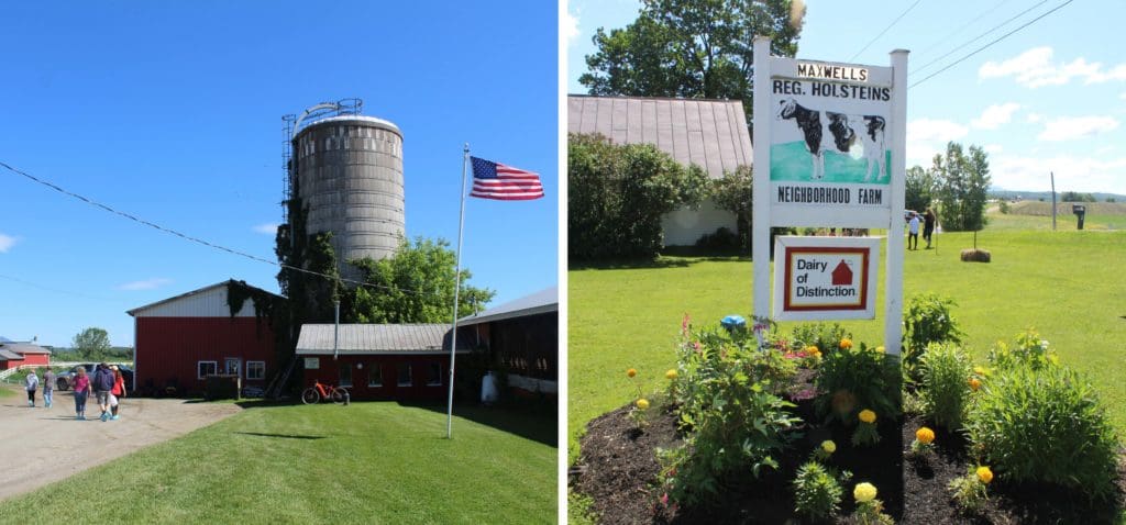 Maxwell's Neighborhood Farm - New England Dairy