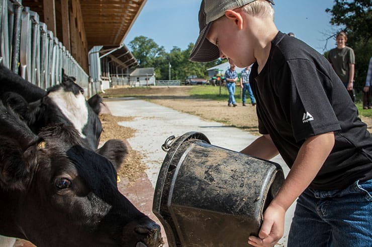 Brush Hill Dairy - New England Dairy