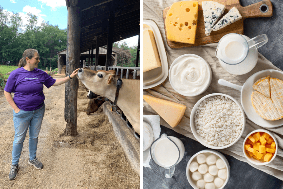 Celebrating National Dairy Month - New England Dairy