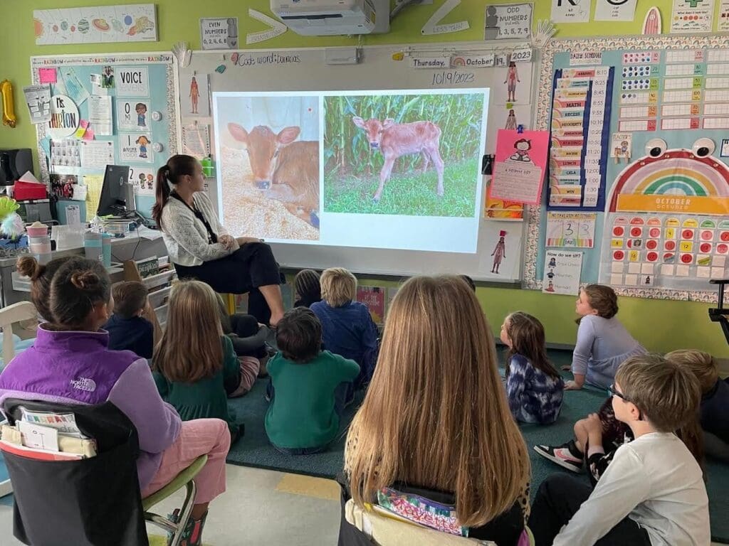 Adopt a Cow Program Connects Kids to Cows and Local Farms - New England ...