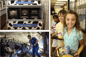 What is Non-Homogenized Milk? Cream-Top Milk Facts | New England Dairy