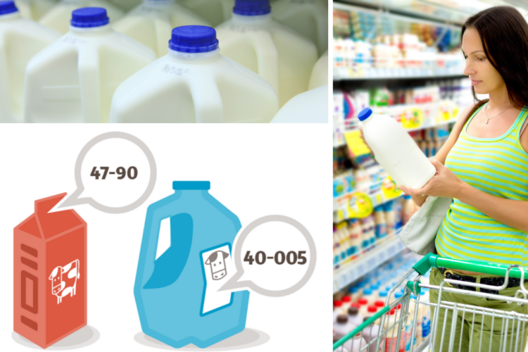 National Milk Day | Find Local Milk Delivery - New England Dairy