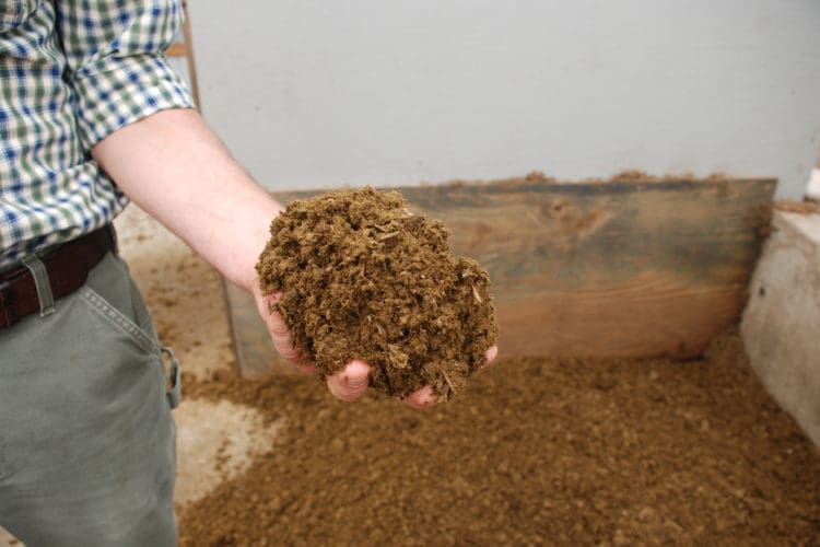 Dairy Farm Manure Management | Cow Manure Compost | New England Dairy