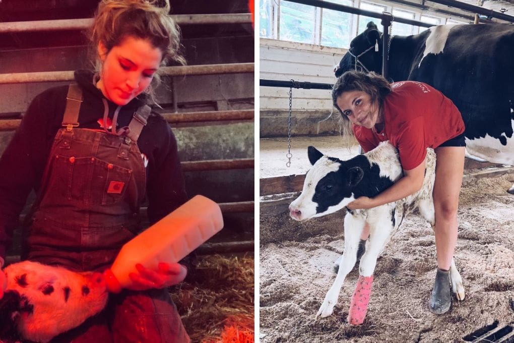 Ag Week: New England Dairy Farmers Share Their Experiences - New ...