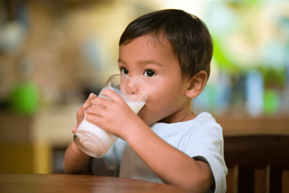 Impact of Dairy Nutrients on Child Brain Development - New England Dairy