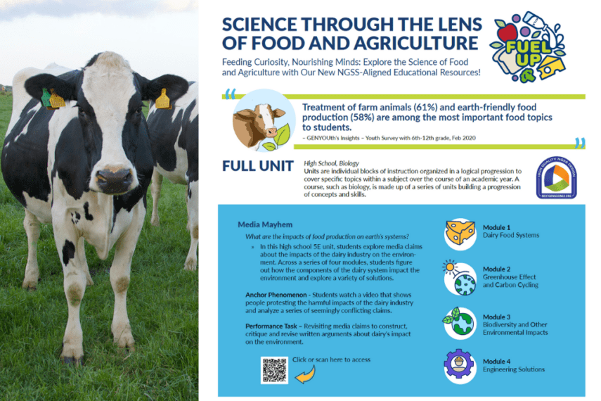 Lessons & Activities: Curriculum