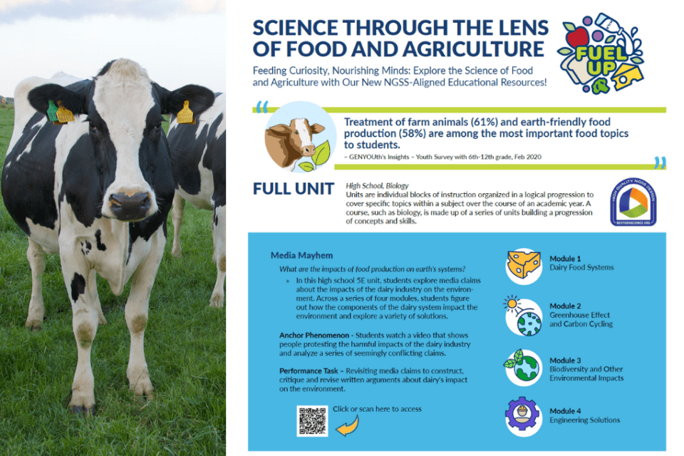 Lessons & Activities: Curriculum