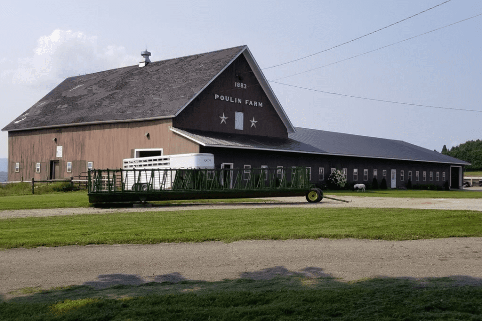 Virtual Farm Tours While You're Stuck at Home - New England Dairy