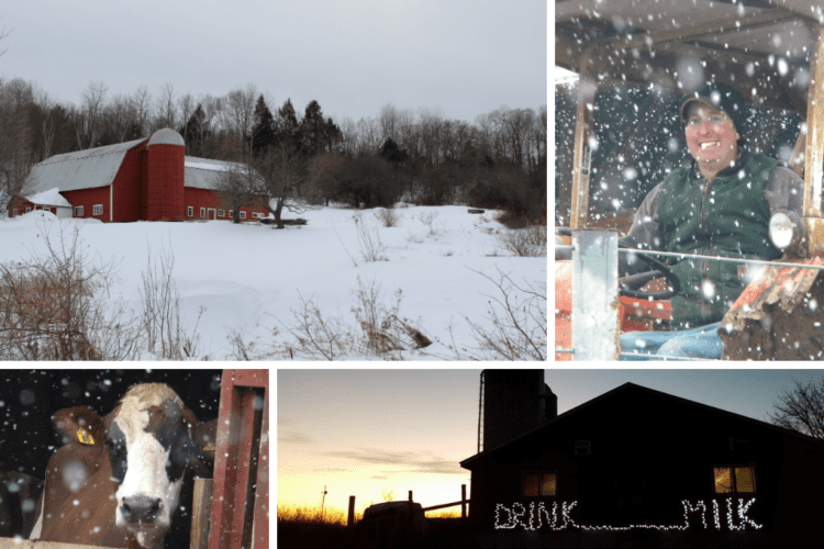 What Farming in Winter Looks Like in New England | New England Dairy