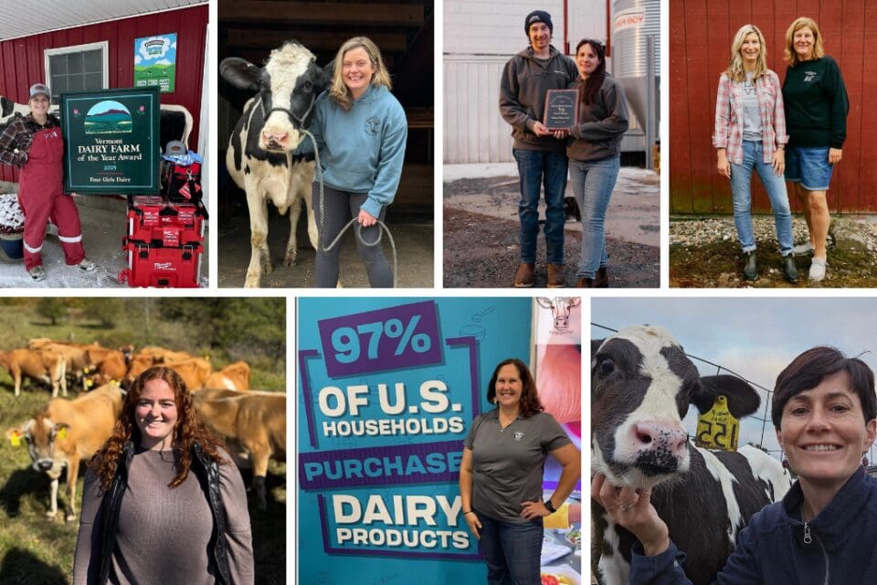 Meet 7 Women in Dairy to Follow Right Now - New England Dairy