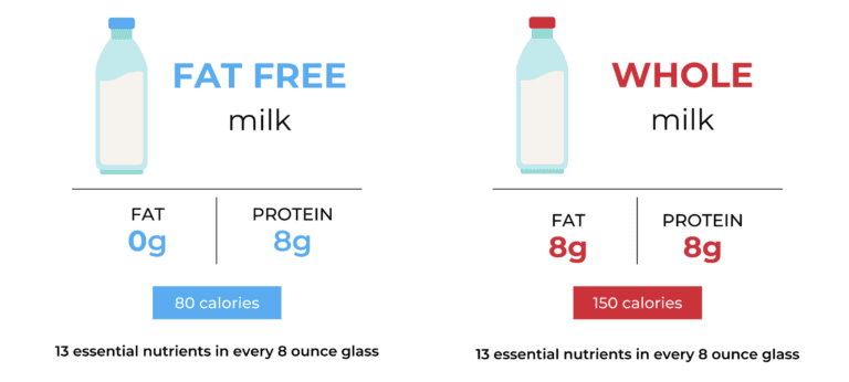 Fat-Free Milk vs. Whole Milk Nutrition: What’s The Difference? | New ...