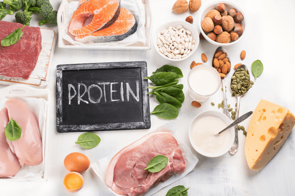 Daily Protein Consumption for Muscle Building | New England Dairy