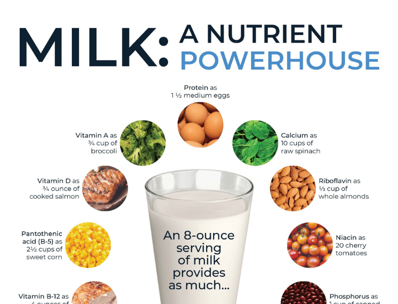 School Milk | New England Dairy