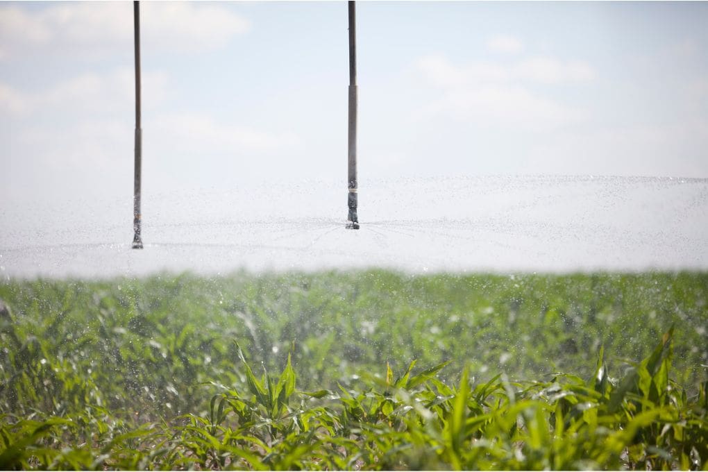Water Usage on Farms: How Dairy’s Making Every Drop Count - New England ...